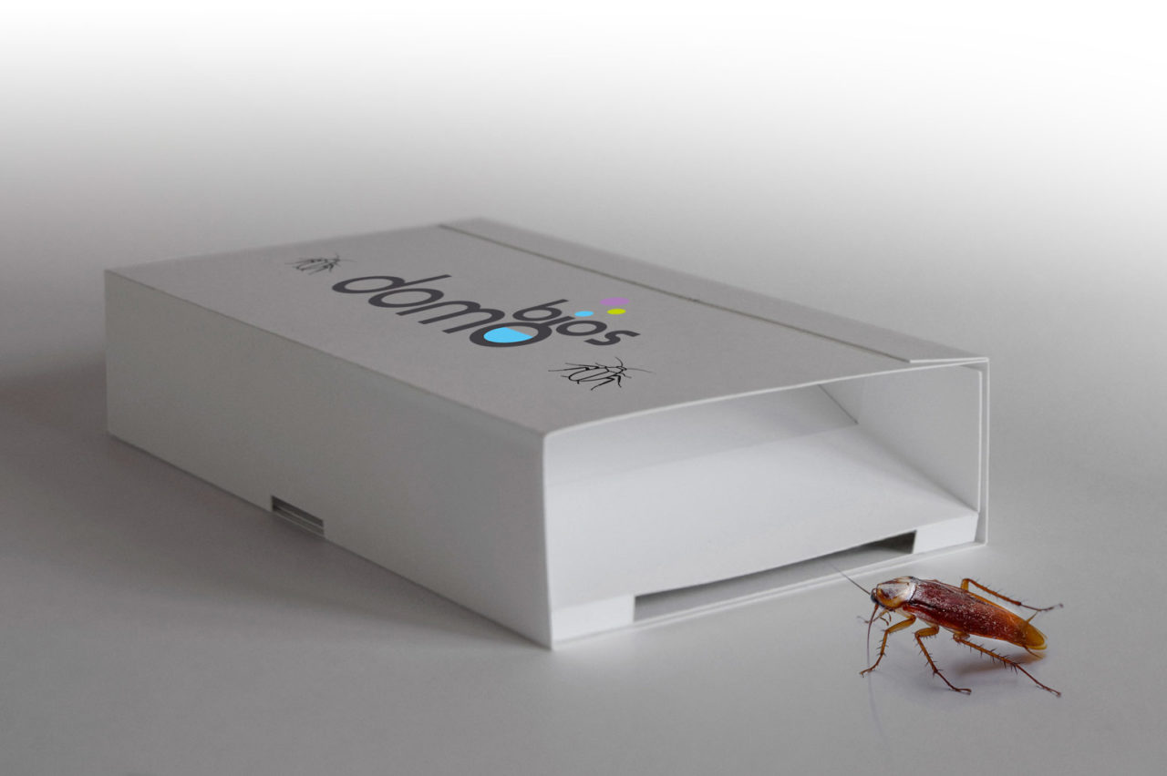 Our solutions to detect and eliminate insects from your hotel or restaurant