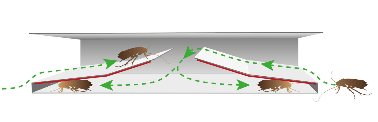 Our solutions to detect and eliminate insects from your hotel or restaurant